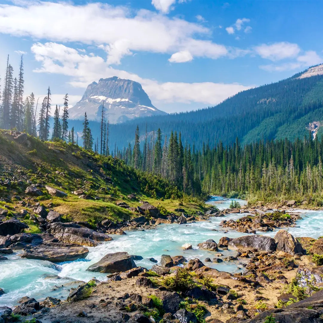 5-Day Banff, Jasper & Yoho National Parks Tour | Small Group Guided Rockies Adventure – TravelTides
